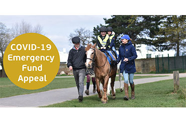 News - Riding for the Disabled Association (RDA)